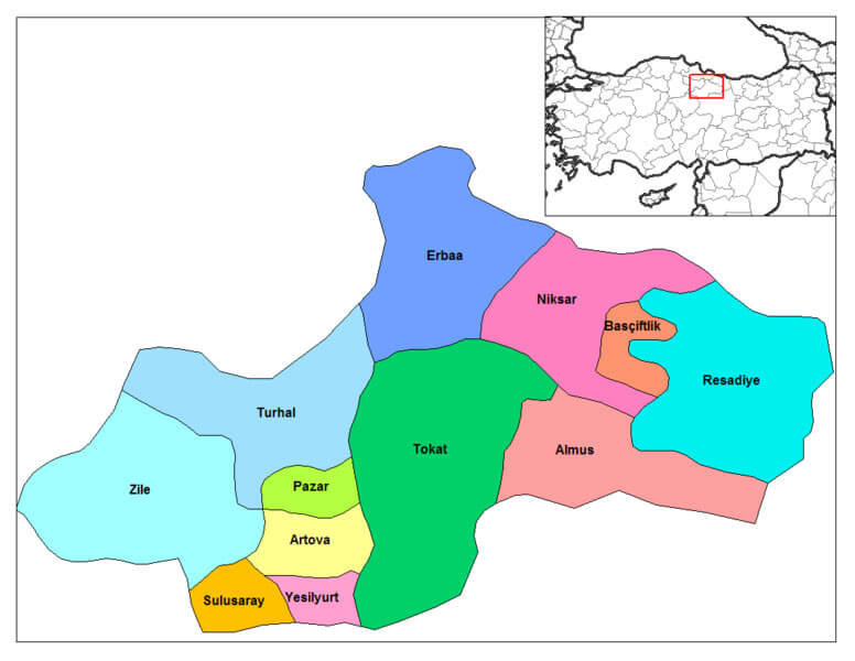 Tokat Map and Tokat Satellite Image